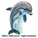 6 Cute Dolphin Sublimation PNG | Watercolour Images | Watercolor ...
