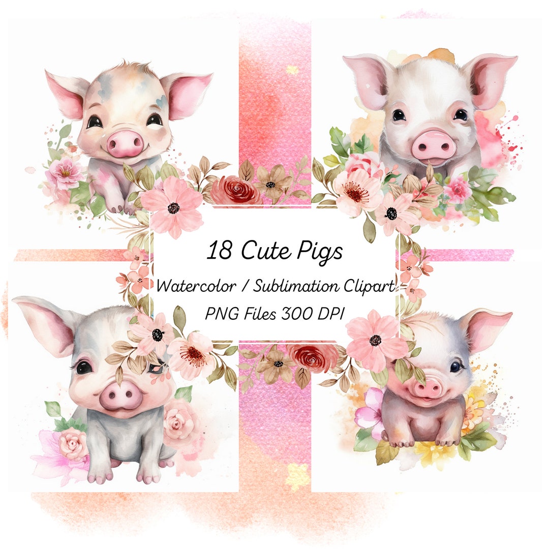 18 Cute Pigs Sublimation PNG Watercolor Images Watercolor Digital Art ...
