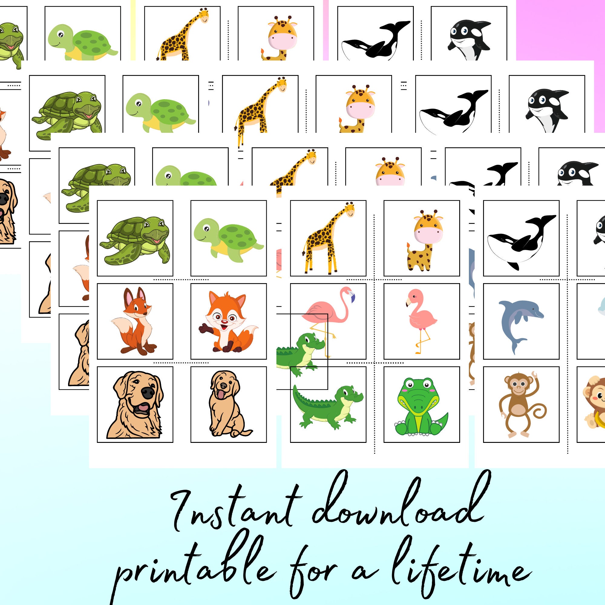 Animal Learning Game for Kids Montessori Learning at Home | Etsy