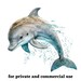 6 Cute Dolphin Sublimation PNG | Watercolour Images | Watercolor ...
