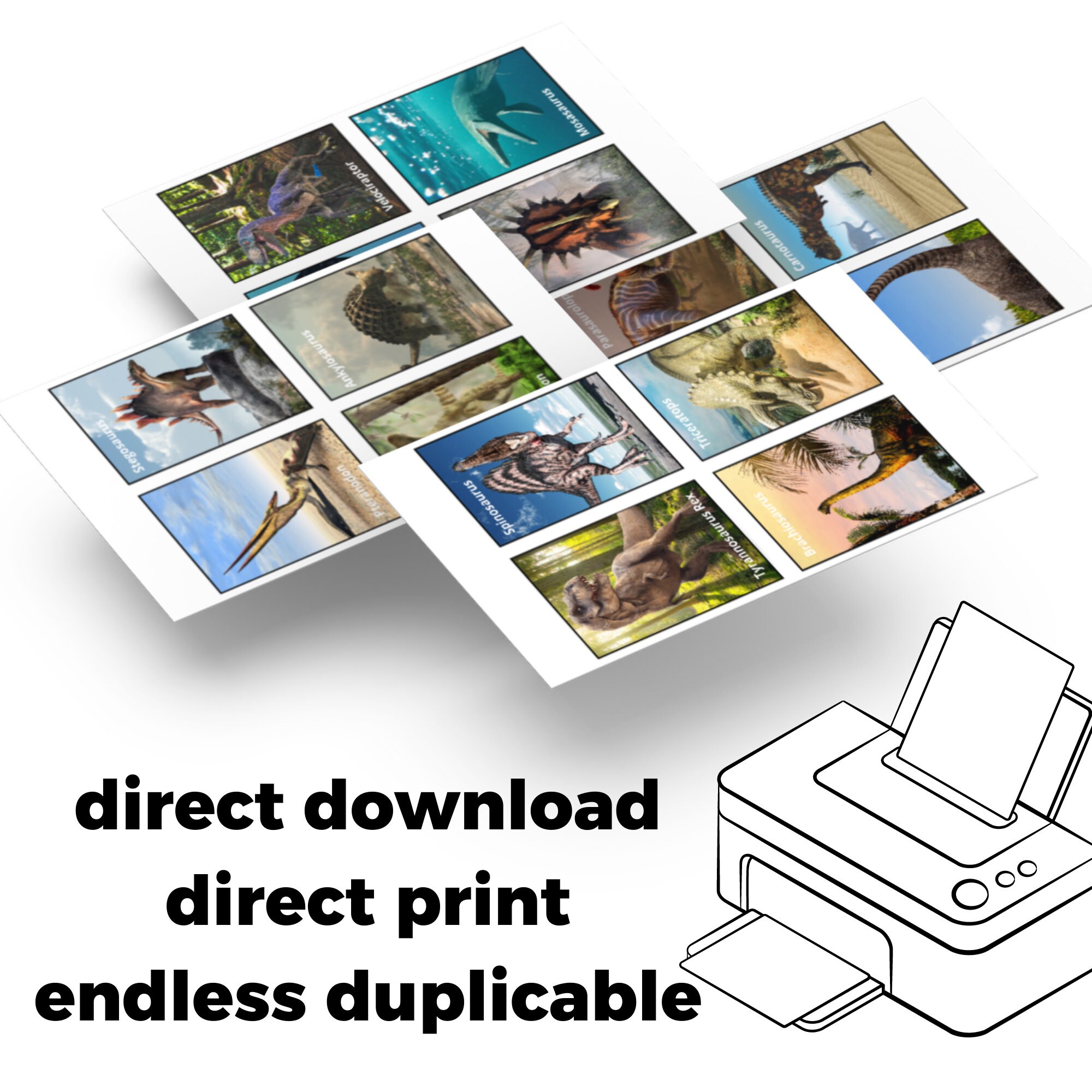 Dinosaur Flash Cards | Montessori Materials | Matching Card Game ...