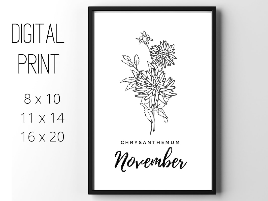 Printable Digital Download - November Birth Flower-chrysanthemum-8x10 ...