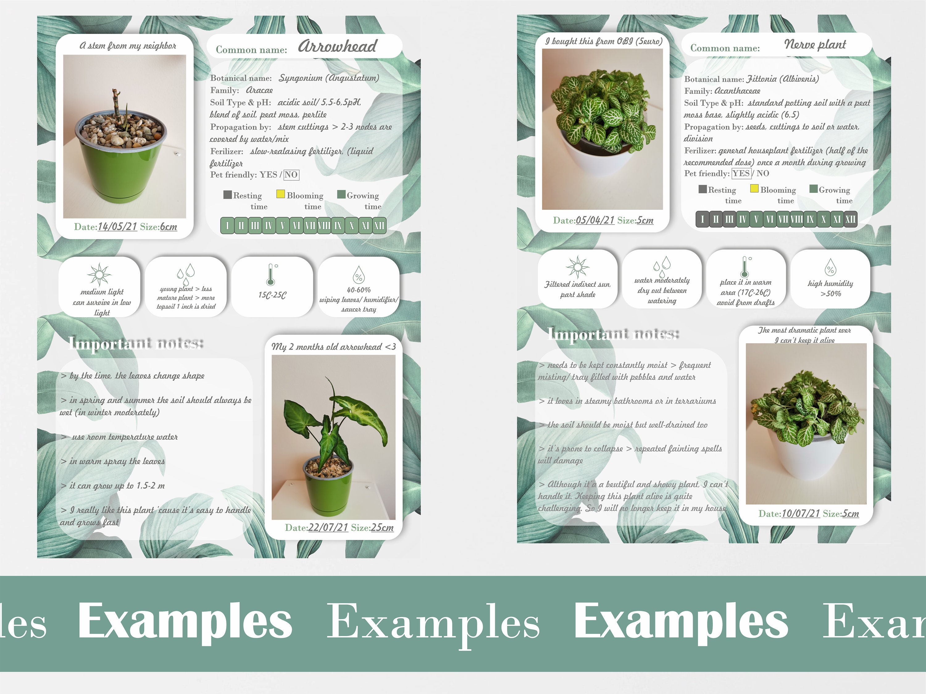Plant Planner, Printable Plant Planner, Bucket List, for Plant Parents ...