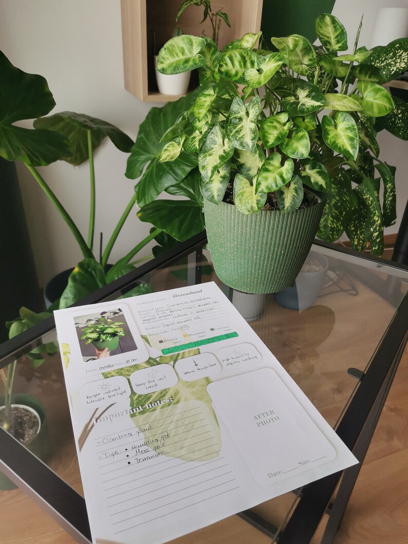 Plant Planner, Printable Plant Planner, Bucket List, for Plant Parents ...