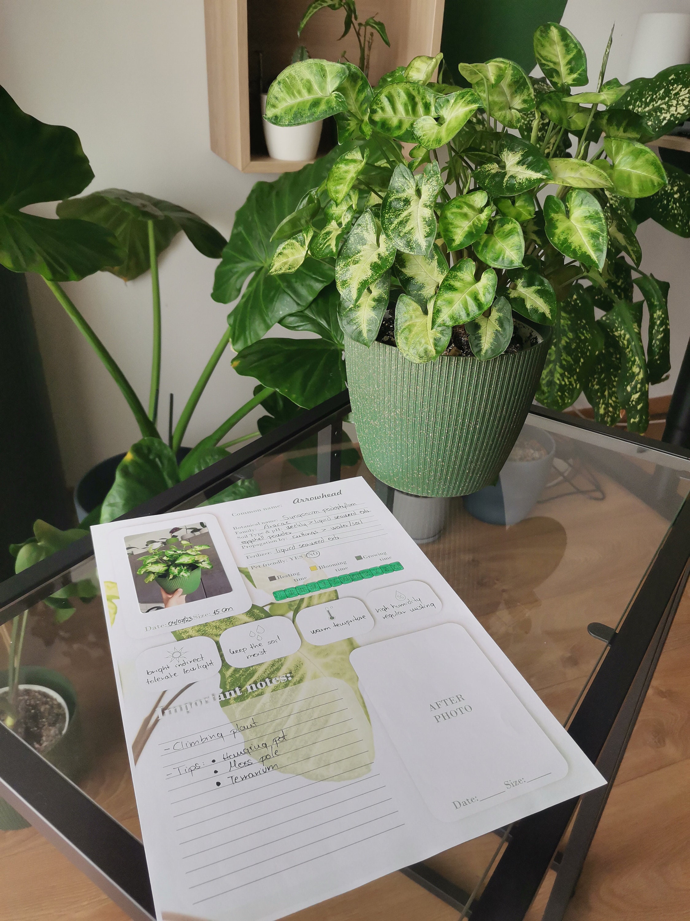 Plant Planner, Printable Plant Planner, Bucket List, for Plant Parents ...