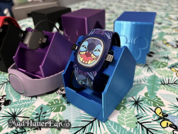 Customize Magicbands Box