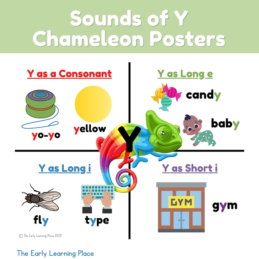 Sounds of Y Chameleon Posters | Orton Gillingham Aligned | Phonics - Etsy