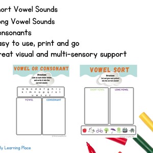 Short and Long Vowel Posters/sorts & Consonant Poster/sort | Alphabet ...