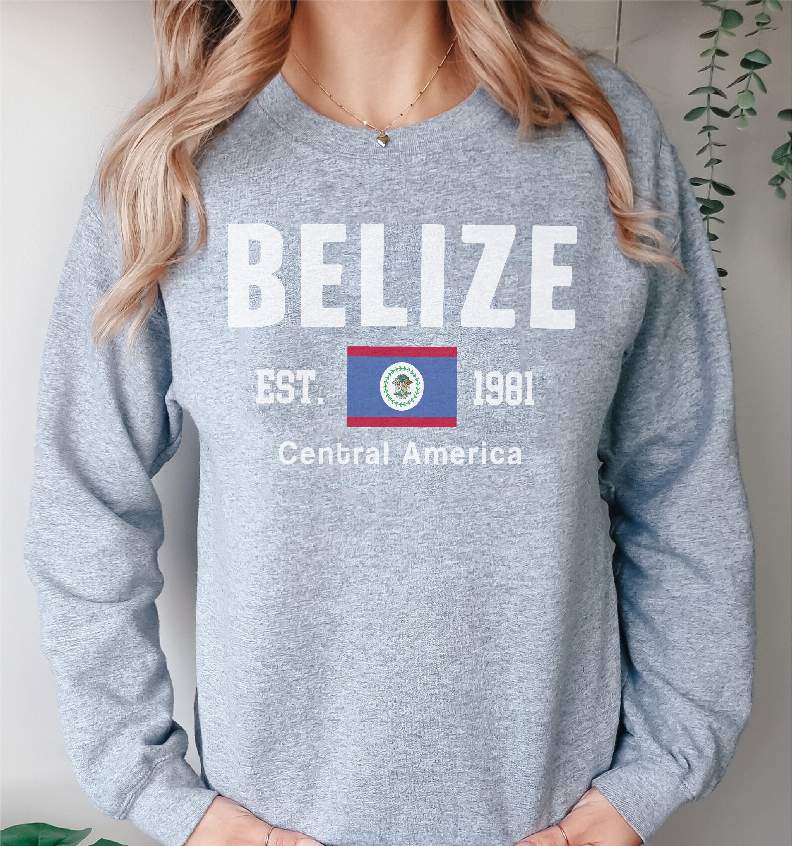 Belize Sweatshirt, Belize Flag Sweater, Soft Cozy Vintage Belize ...