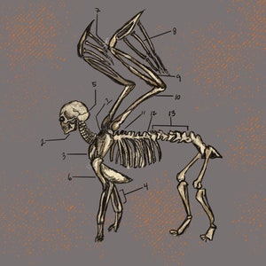 Digital anatomy of the Sphinx | Etsy