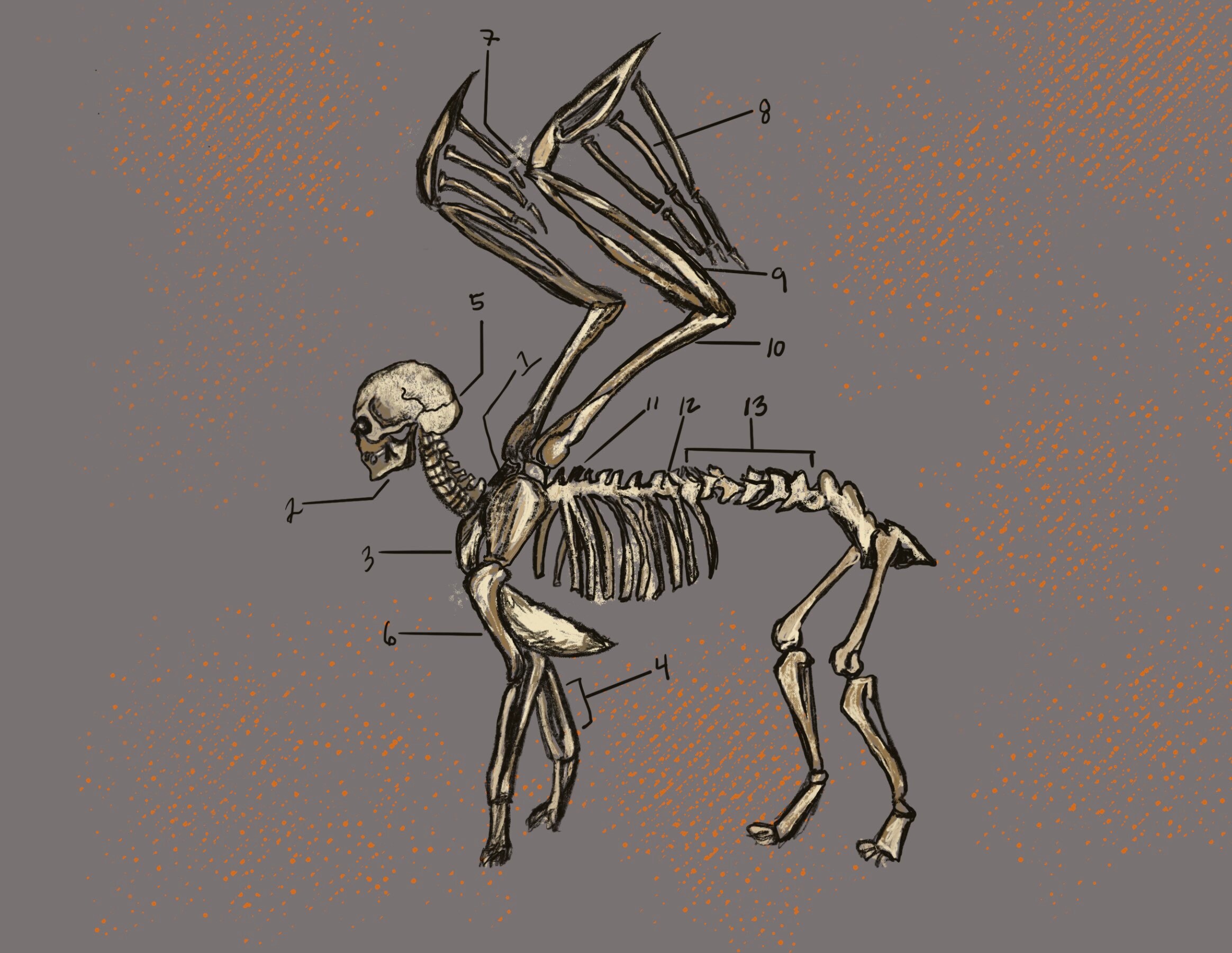 Digital anatomy of the Sphinx - Etsy