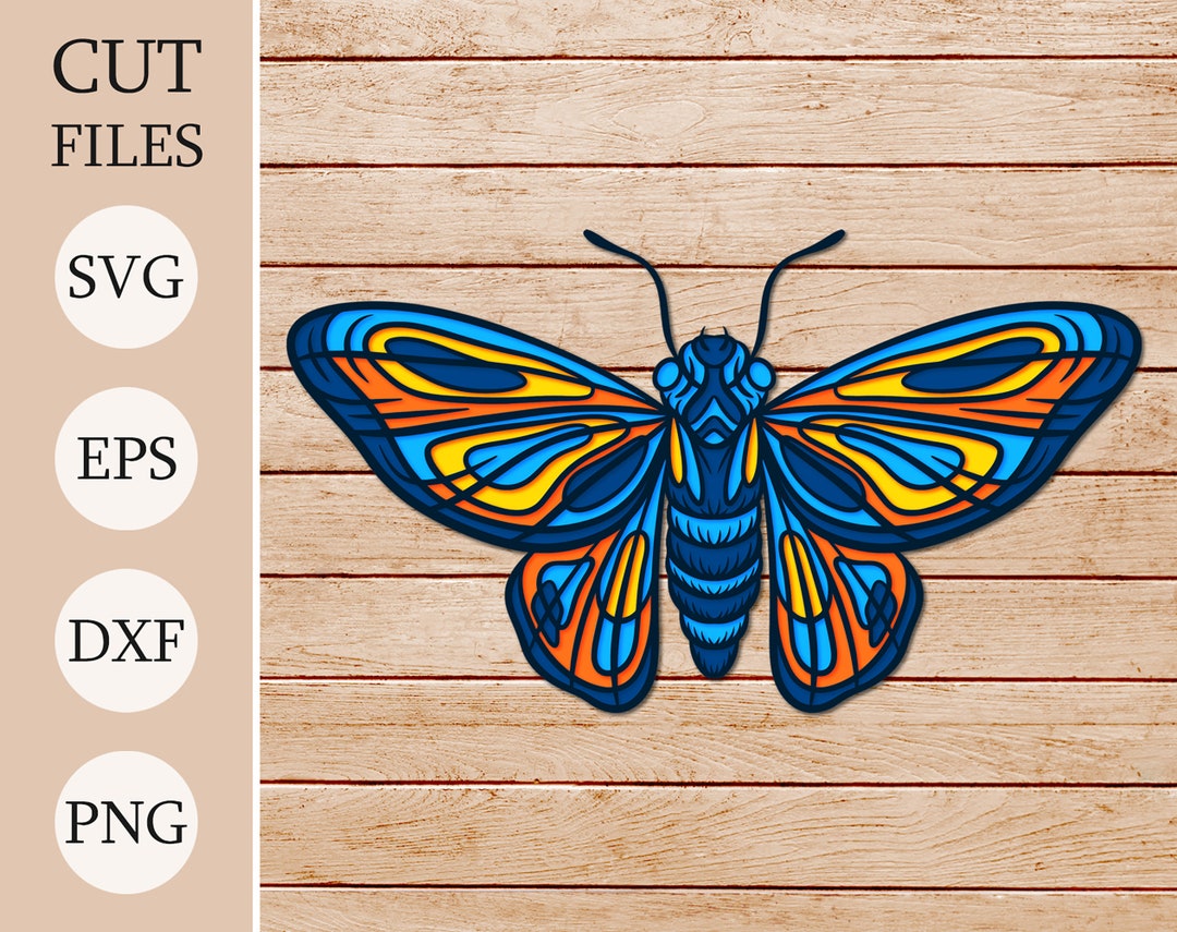 Codling Moth 3d Shadow Box SVG, Layered Blue Moth Files for Cricut ...