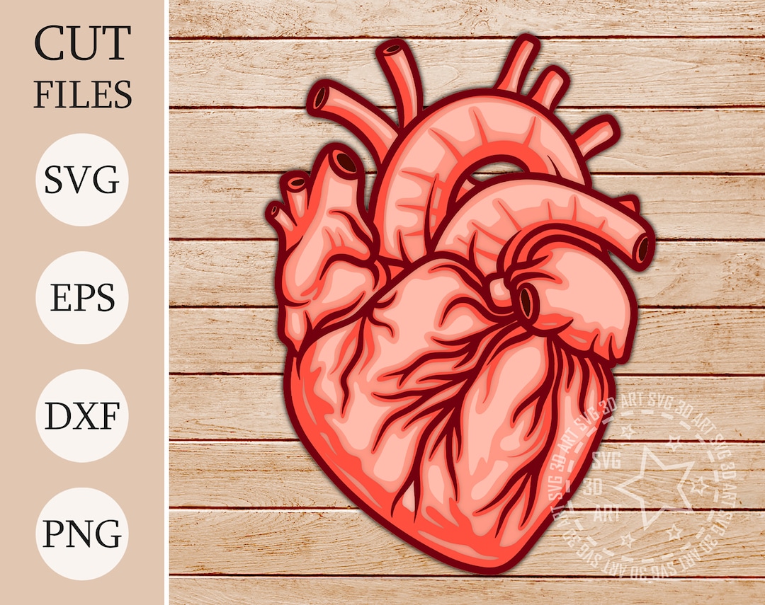 Heart 3d Shadow Box SVG, Valentine's Day Layered Files for Cricut, Dv ...