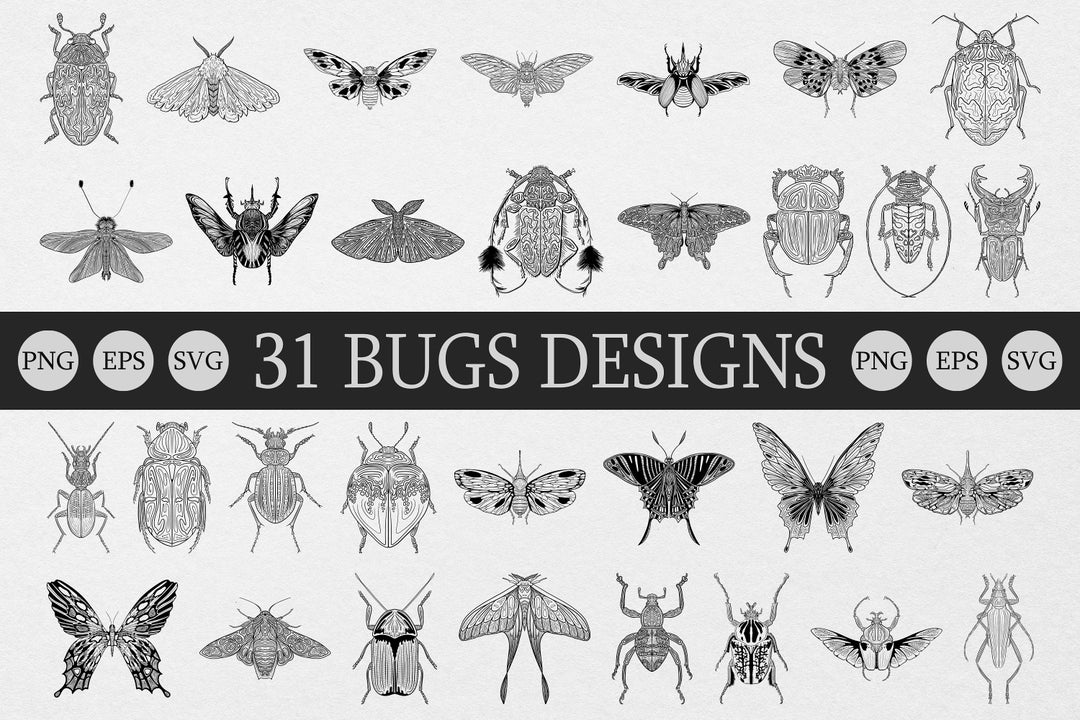 31 Fantasy Insects Svg, Beetle PNG, Bugs Svg, Huge Bundle, Line Drawing ...
