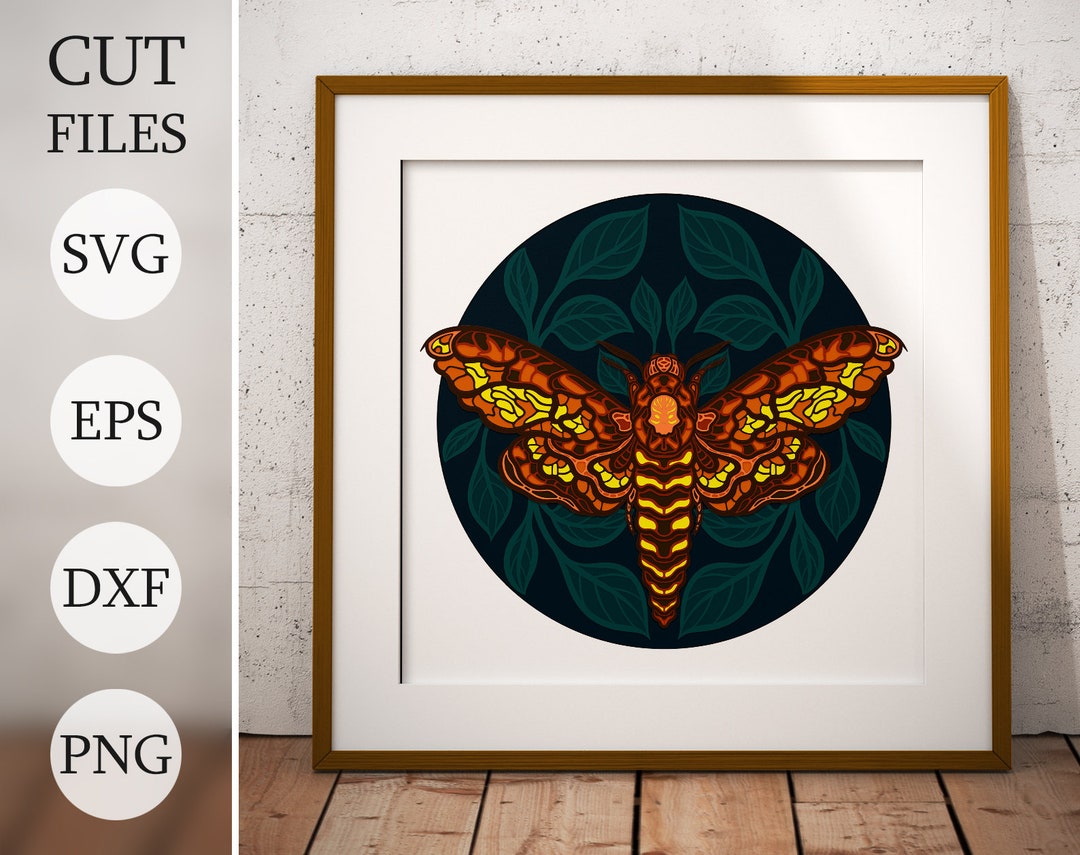 Death Moth 3d Shadow Box SVG, Layered Files for Cricut, Cardstock SVG ...
