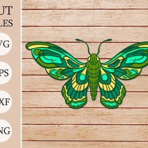 Atlas Moth 3d Shadow Box SVG Layered Green Moth Files for - Etsy