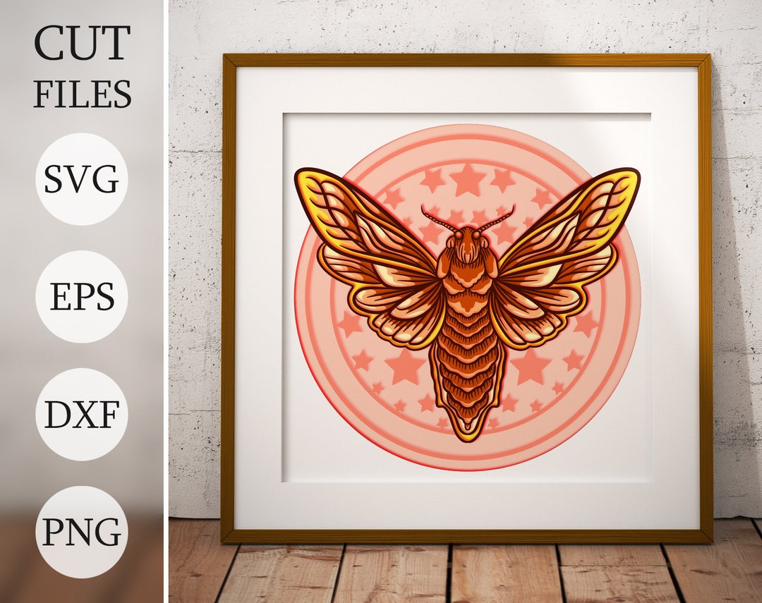 Flying Insect 3d Shadow Box SVG, Layered Files for Cricut, Cardstock ...