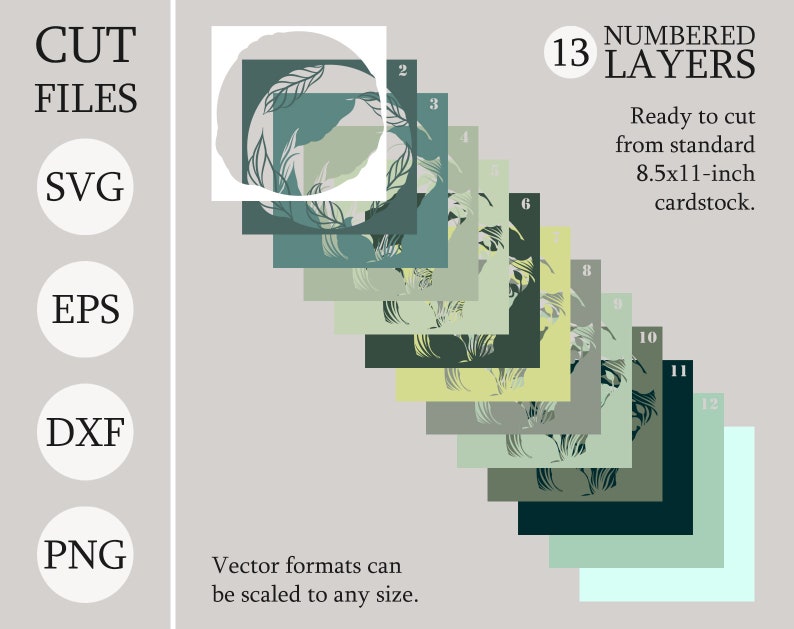 Luna Moth 3D Shadow Box SVG: Layered Cardstock, Cricut, Laser Cut ...