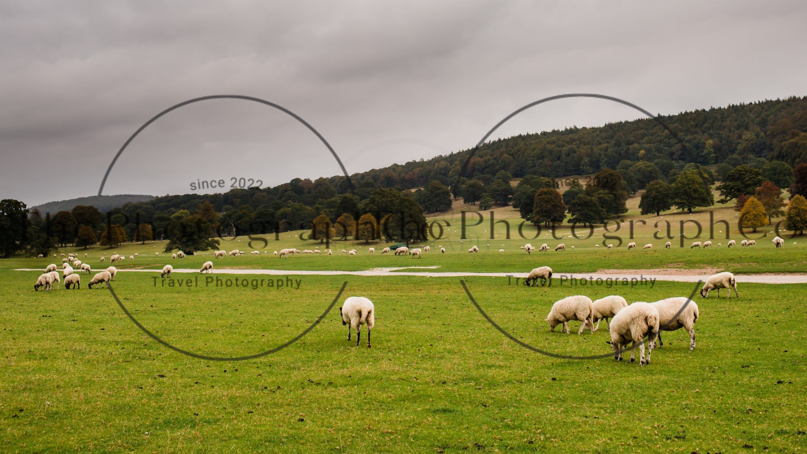 Zoom Background Zoom Backdrop Virtual Background England UK Travel ...