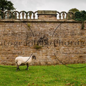 Zoom Background Zoom Backdrop Virtual Background England UK Travel ...