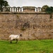 Zoom Background Zoom Backdrop Virtual Background England UK Travel ...