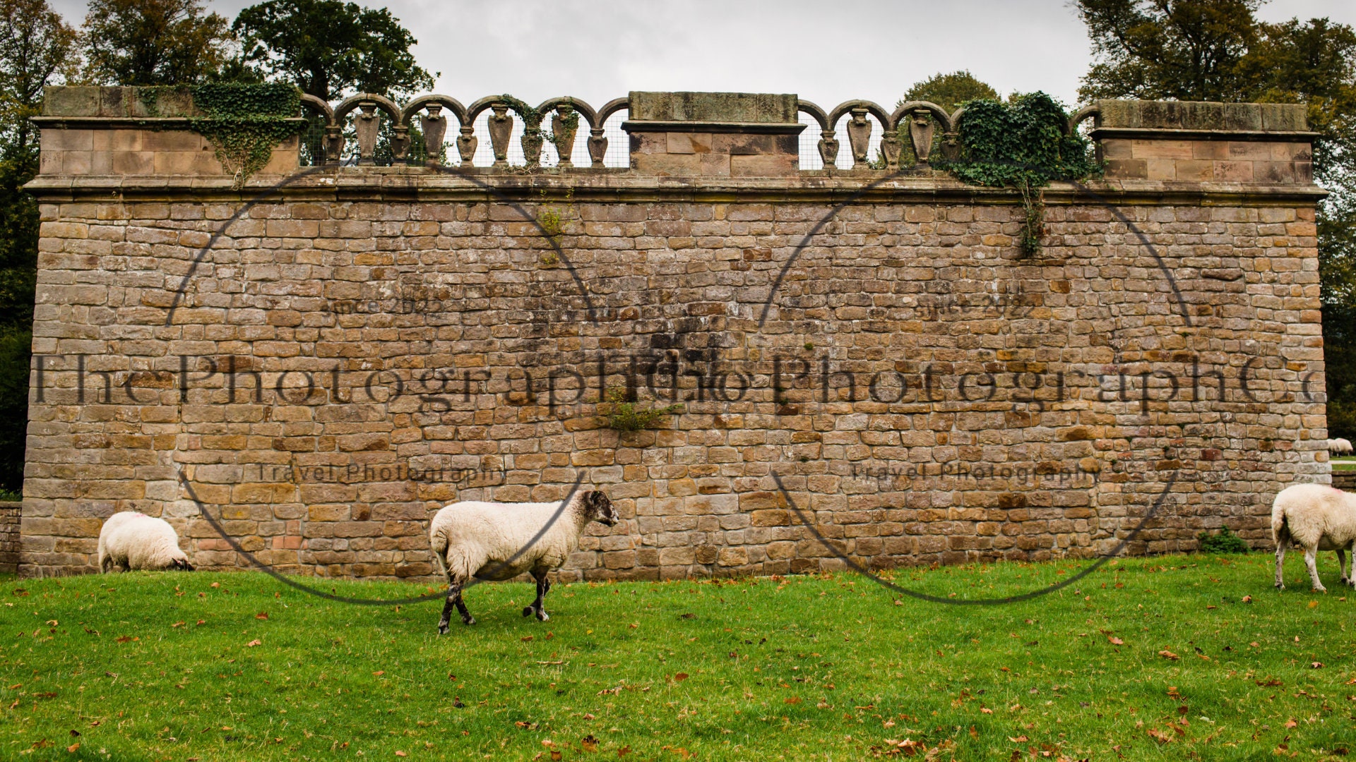 Zoom Background Zoom Backdrop Virtual Background England UK Travel ...