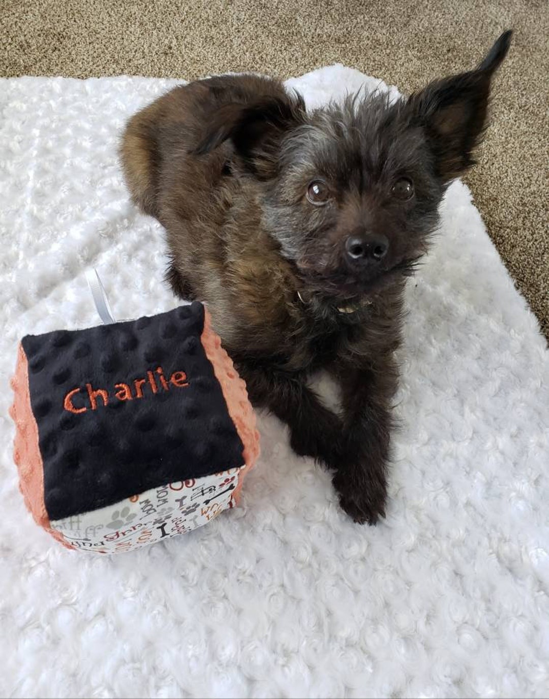 Personalized Dog Cube Toy - Etsy