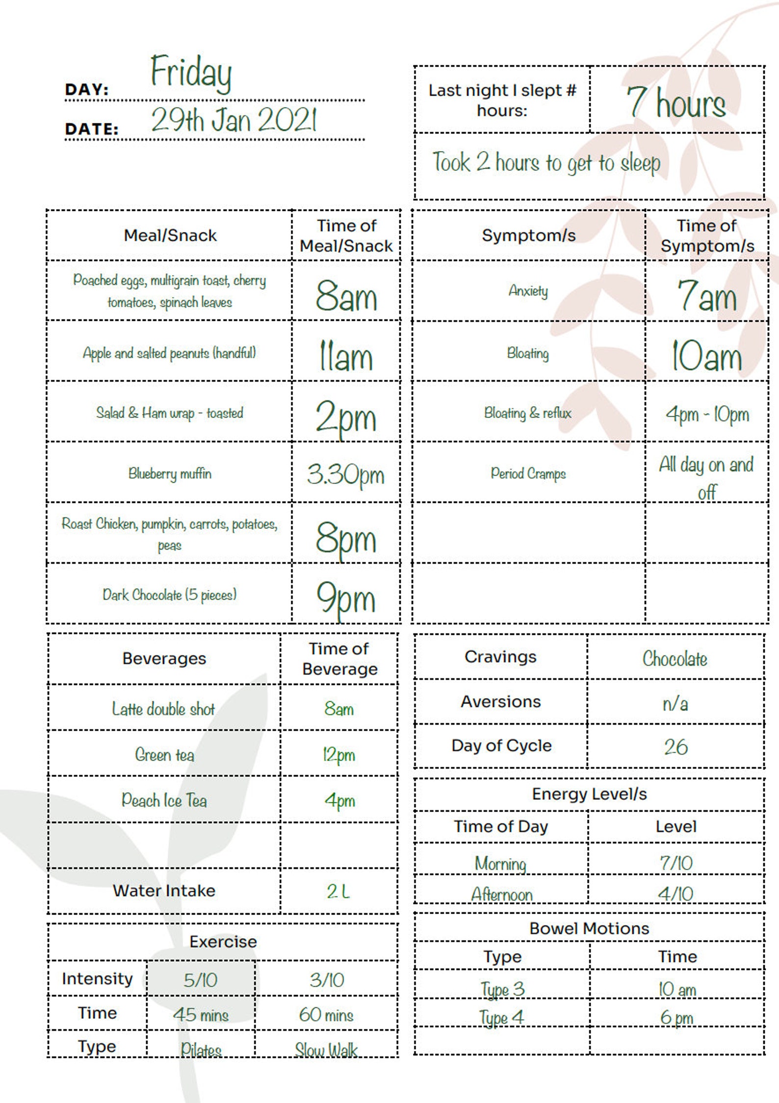 Food & Symptom Diary | Food Journal | Symptom Tracker | Food ...