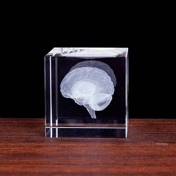 Crystal 3D Human Anatomical Brain Model, Laser Etched Brain Glass Cube ...