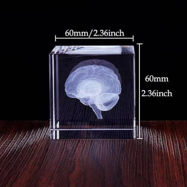Crystal 3D Human Anatomical Brain Model, Laser Etched Brain Glass Cube ...