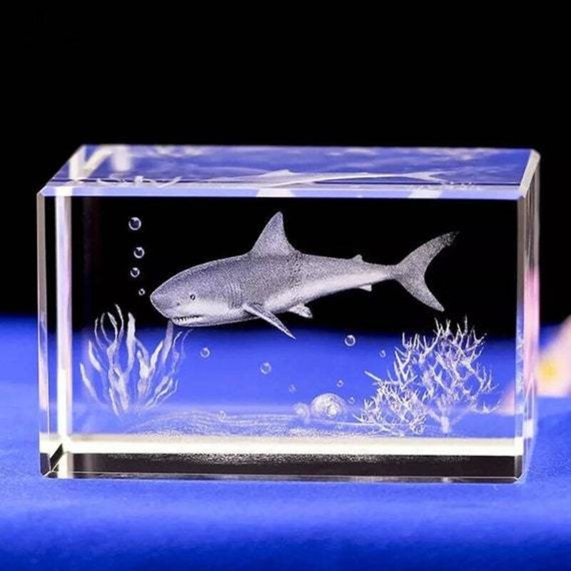 Shark Gift - 60+ Gift Ideas for 2024