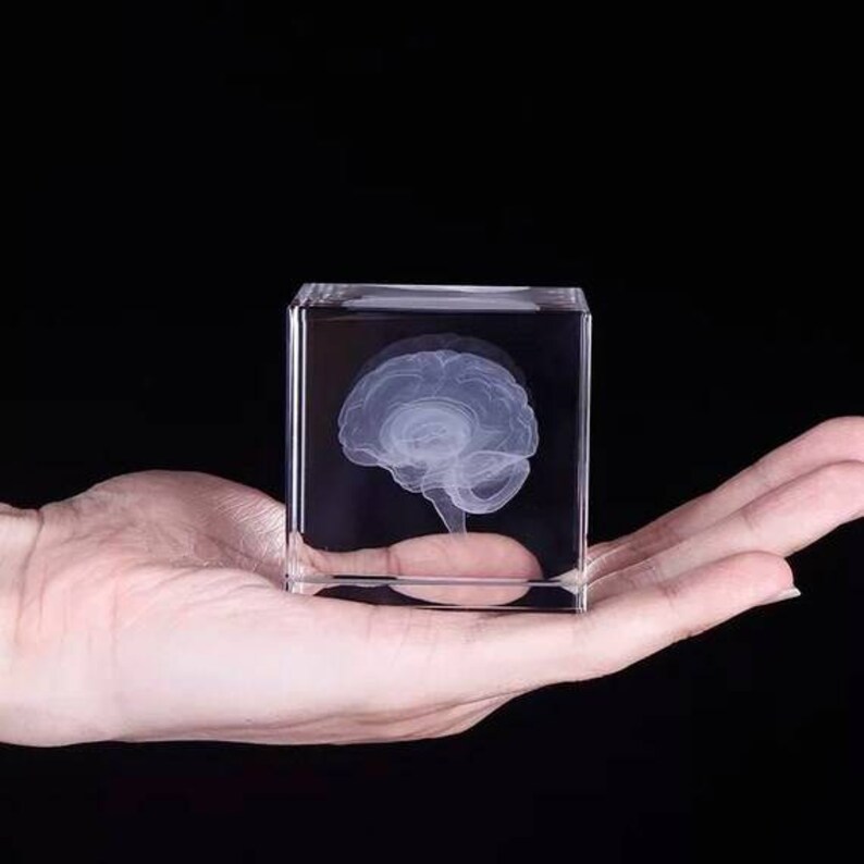 Crystal 3D Human Anatomical Brain Model, Laser Etched Brain Glass Cube ...