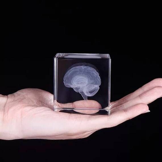 Crystal 3D Human Anatomical Brain Model, Laser Etched Brain Glass Cube ...