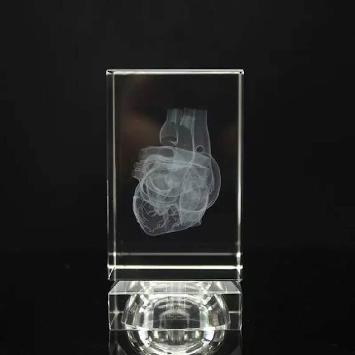 Laser Engraved Anatomical 3D Heart Model, Crystal Glass Cube, Human ...