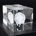 3D Laser Etched Human Brain Anatomical Model Paperweight - Etsy