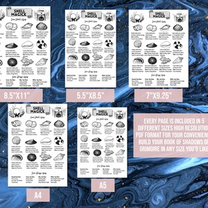 Sea Witchcraft for Beginners, Basics of Sea Magick, Sea Shell Meanings ...