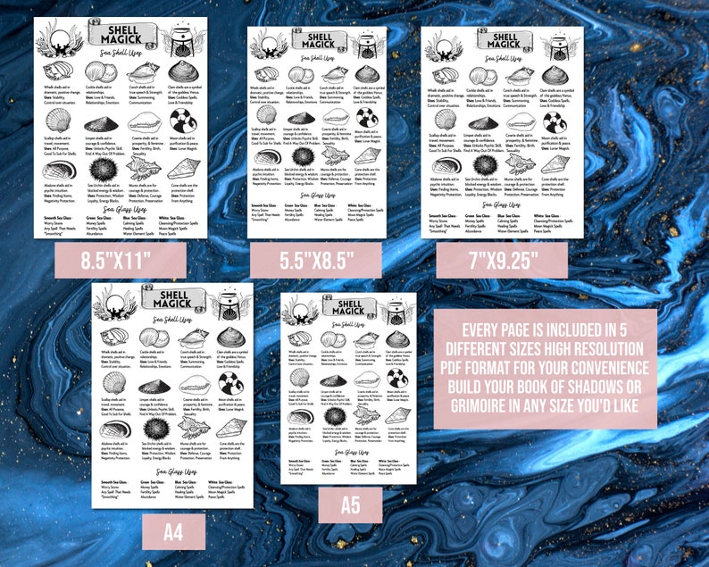 Sea Witchcraft for Beginners, Basics of Sea Magick, Sea Shell Meanings ...