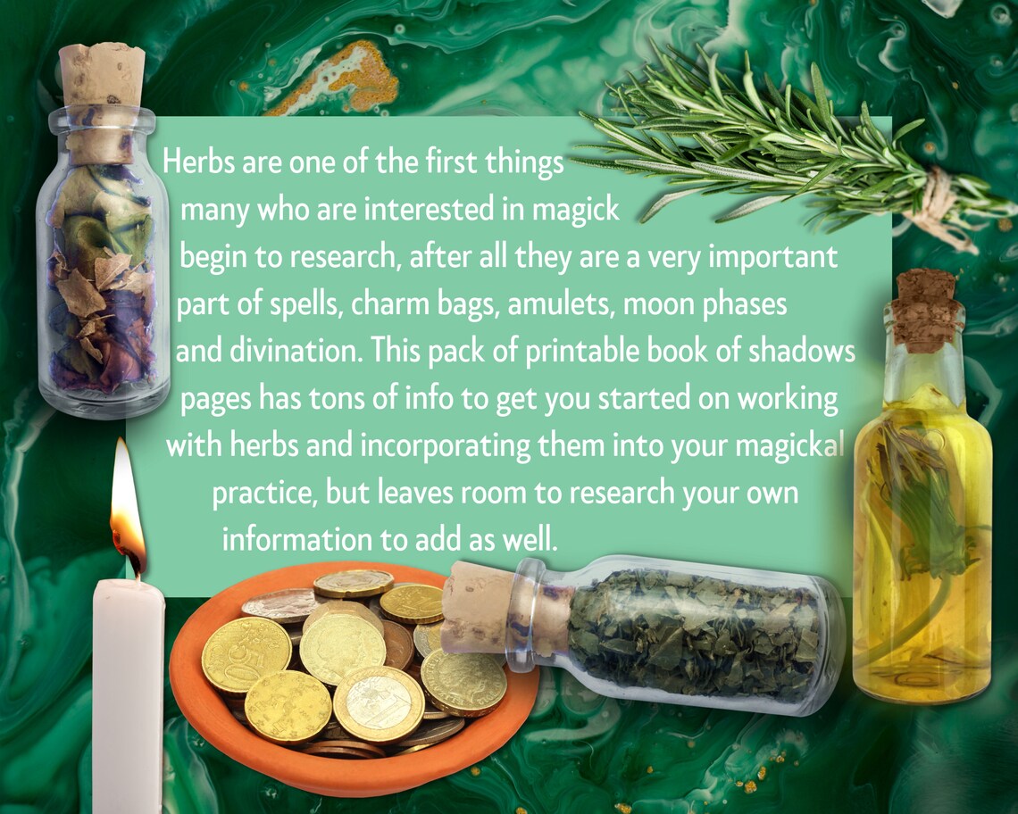 Herbal Magick for Beginners Basics of Herbs Herb Meanings - Etsy