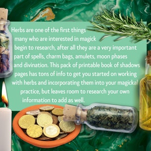 Herbal Magick for Beginners, Basics of Herbs, Herb Meanings Uses ...