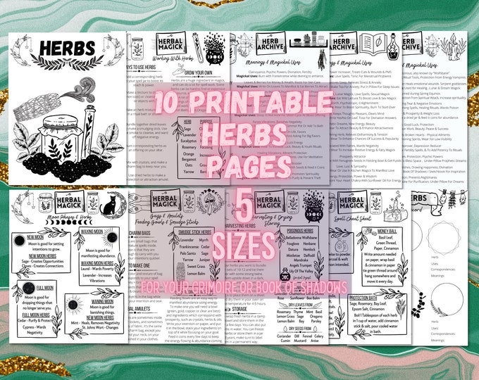 Herbal Magick for Beginners Basics of Herbs Herb Meanings - Etsy