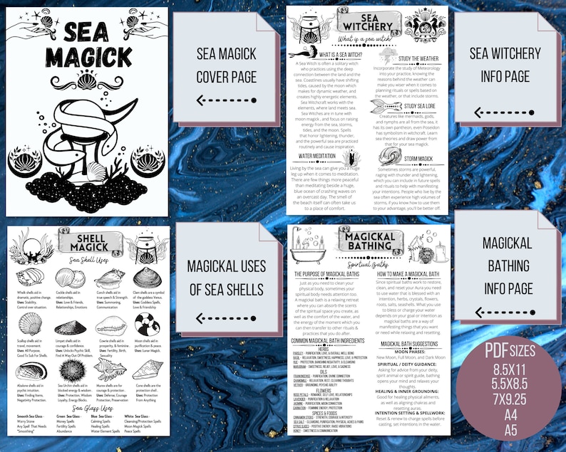 Sea Witchcraft for Beginners, Basics of Sea Magick, Sea Shell Meanings ...