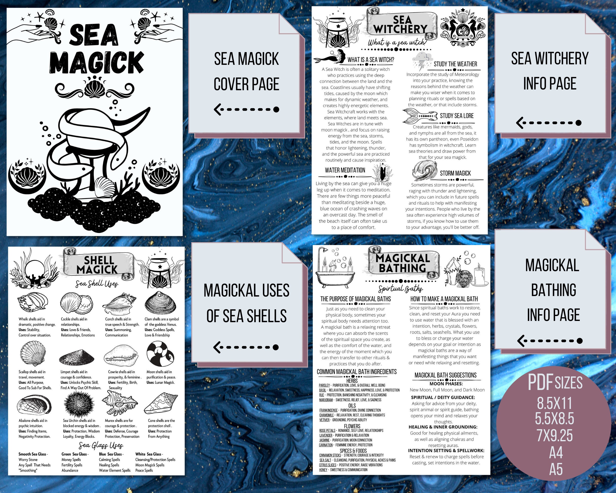 Sea Witchcraft for Beginners, Basics of Sea Magick, Sea Shell Meanings ...