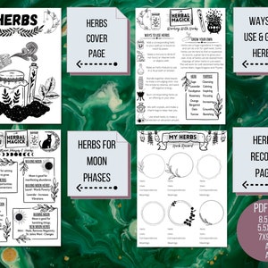 Herbal Magick for Beginners, Basics of Herbs, Herb Meanings Uses ...