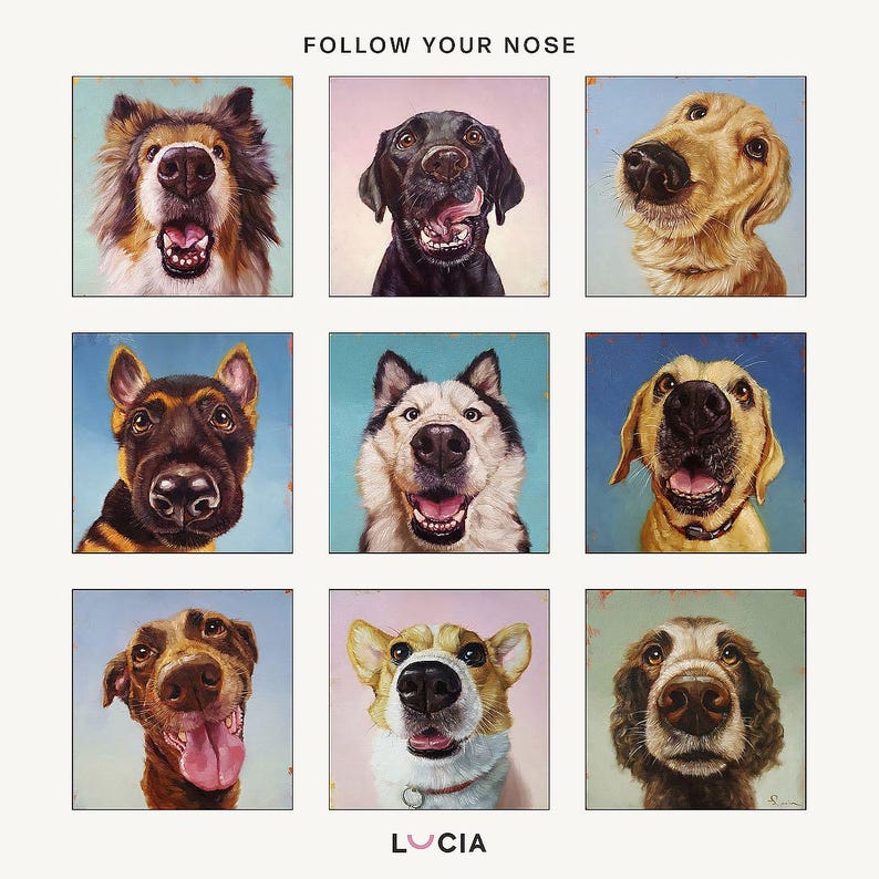 Follow Your Nose Collage by Lucia Heffernan, Multi-dog Art, Whimsical ...