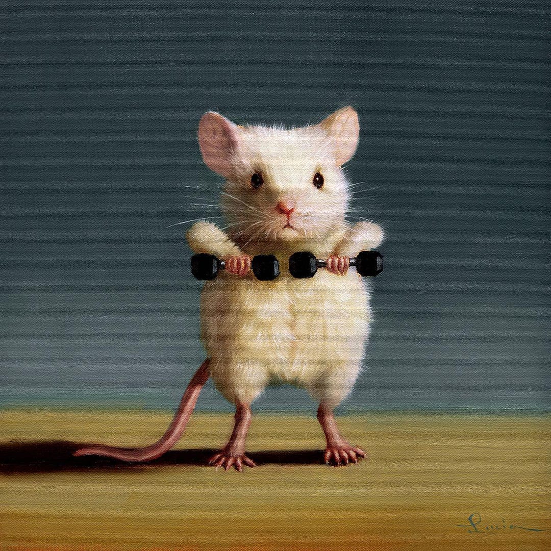 Gym Rat Upright Row by Lucia Heffernan, Cartoon Rat Art, Whimsical ...