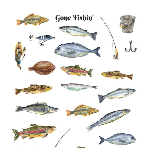 Fish Stickers - Etsy