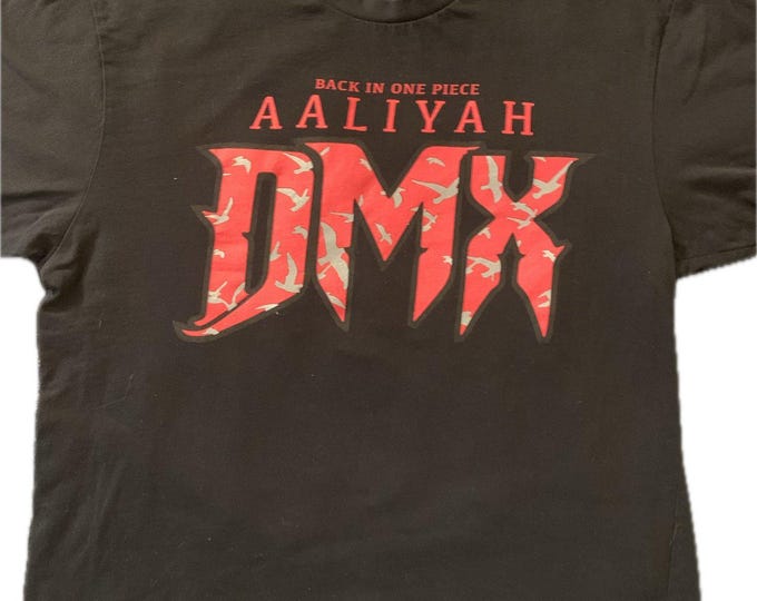 Rare NWOT DMX Aaliyah Back in One Piece T-shirt - Etsy