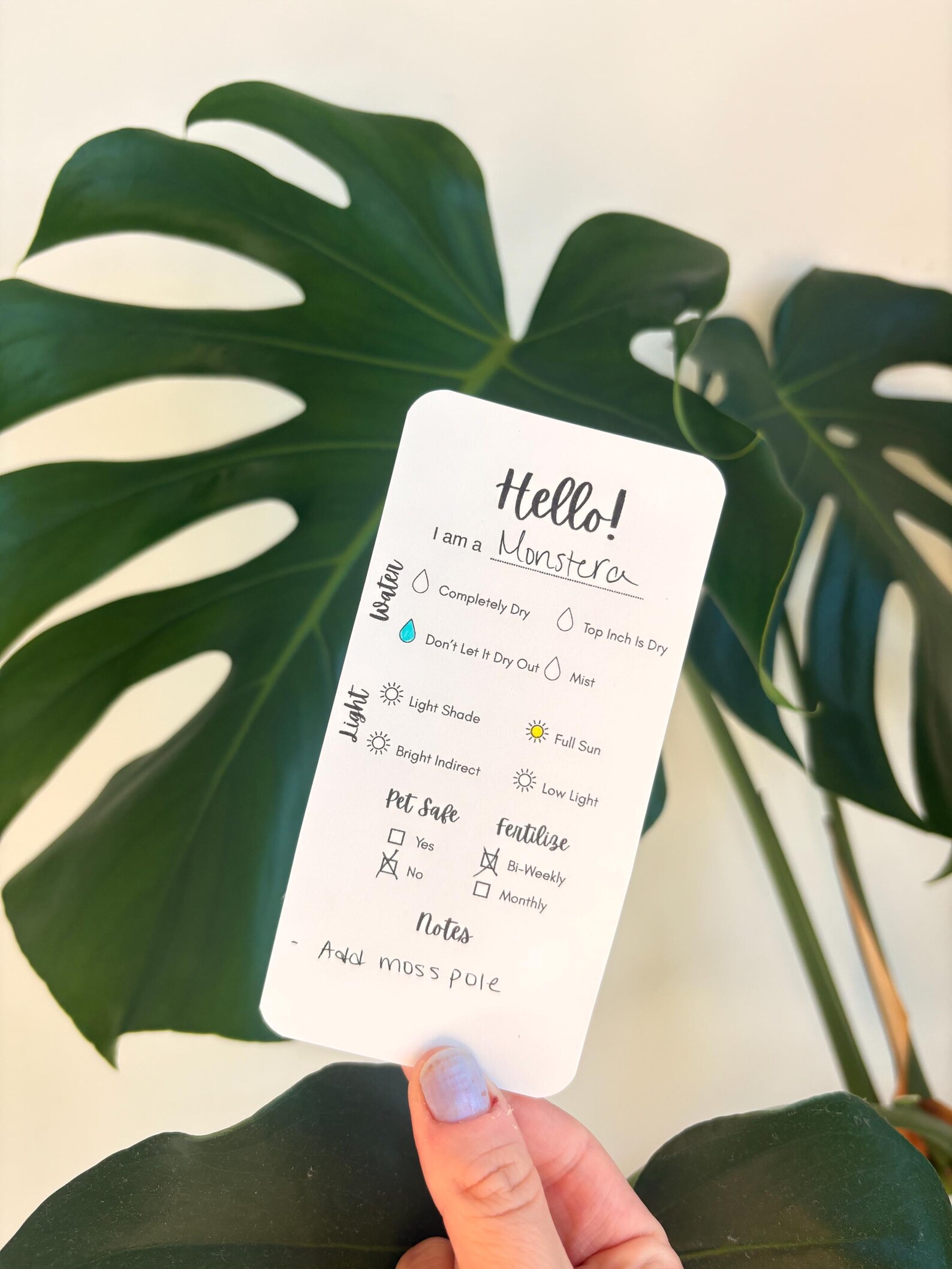 Plant Care Tags | Physical Product | Set of 10-50 | Label Cards for ...