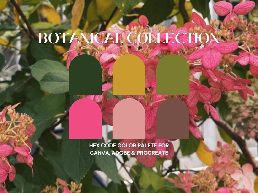 6 PACK Botanical Garden Hex Code Color Palette | DIGITAL DOWNLOAD - Etsy