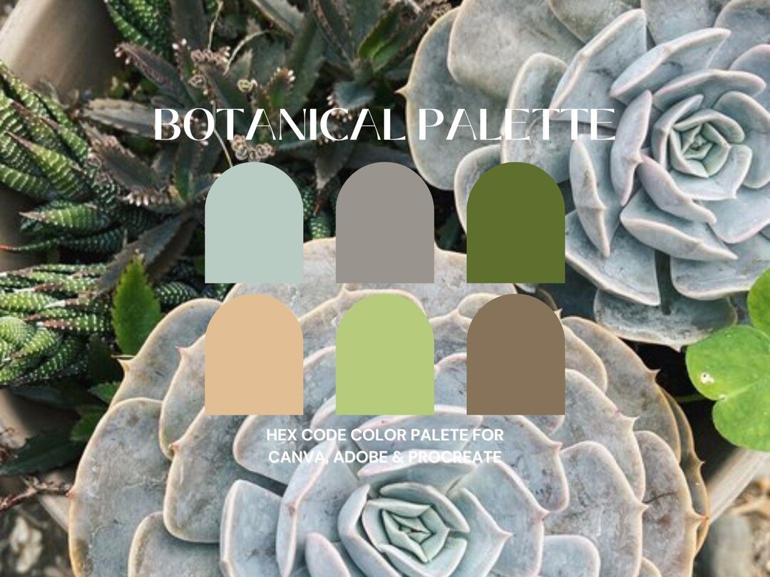 Botanical Garden Hex Code Color Palette DIGITAL DOWNLOAD - Etsy